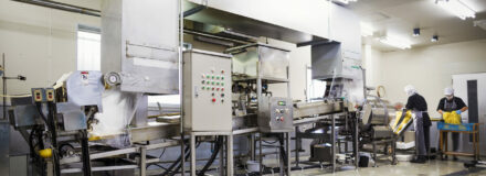 Lei da terceirização: entenda tudo sobre a lei 13.429/2017